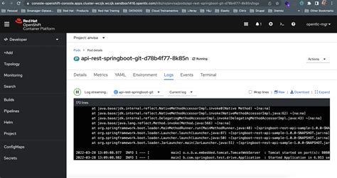 GitHub Pluizetto Ssa Ocp Tv SManager Solution Architects OpenShift Test Drive