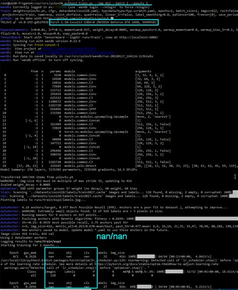 I Am Getting Nan And No Predictions At All Issue Ultralytics Yolov GitHub