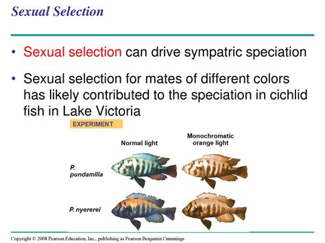 The TLCC Has Free Tutoring Ppt Download