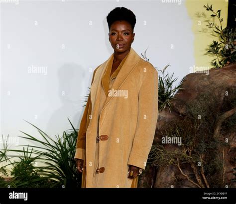 London Uk 11th Dec 2024 Folake Olowofoyeku Attends The Mufasa The