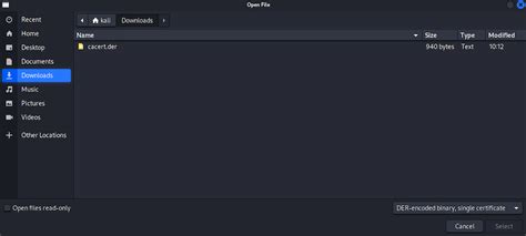 Installing Burps Ca Certificate In Chrome Linux Portswigger