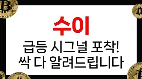 수이 급등 시그널 포착 싹 다 알려드립니다 Youtube