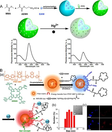 A Schematic Illustration Of Preparation Of A Pnp Based Ratiometric Download Scientific