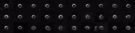 Mechanism For Interpreting Complex Cell Image Features Driving Deep Learning Classifiers