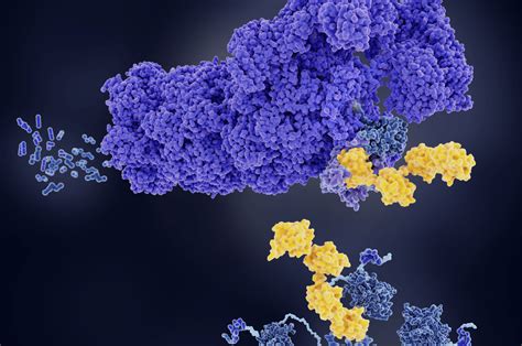 Proteomics For Protacs And Molecular Glues Deep Discovery Proteomics For Protacs And Molecular Glues Deep Discovery