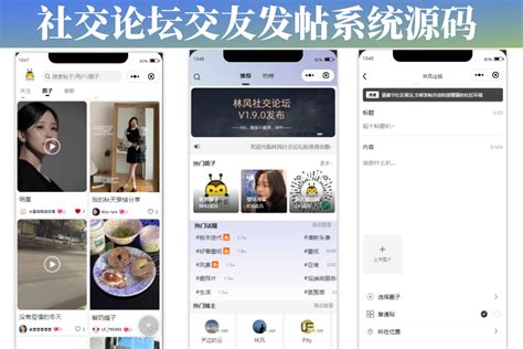 最新社交论坛交友发帖系统源码 前后端分离 H5、微信小程序、app端 牛角网 Ai源码deepseek精品源码网站源码小程序源码公众号模块app源码