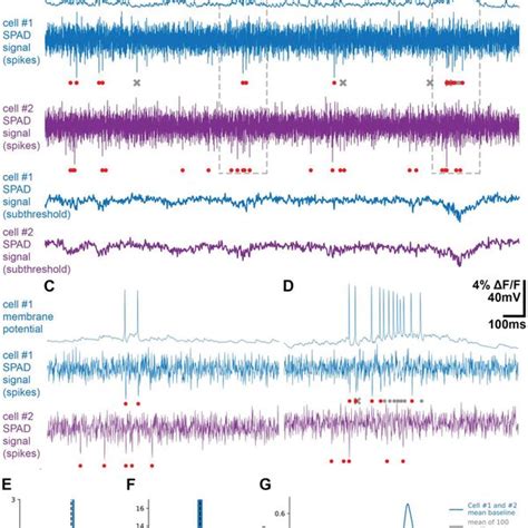 Detection Of Action Potentials In The Soma And Subcellular Structures Download Scientific