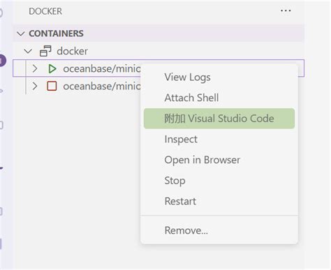 vscode和docker进行断点调试问题 OceanBase 数据库大赛 社区问答 OceanBase社区 分布式数据库