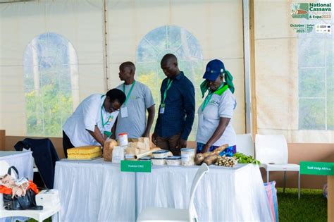National Cassava Conference And Expo 2023 On Linkedin Cassavacon