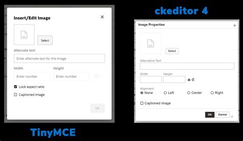 Oracle Content Managements New Rte Tinymce