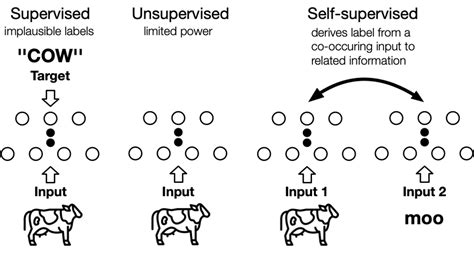 【深度学习】自监督学习详解（self Supervised Learning） Csdn博客