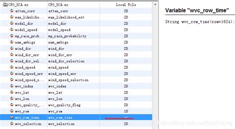 Netcdf库读取nc格式文件中的字符串类型的数据nodejs Netcdn读取nc数据 Csdn博客