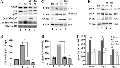 A ␤ Mediated Cdk5 Deregulated Phosphorylation Of Tau Is Inhibited By Download Scientific