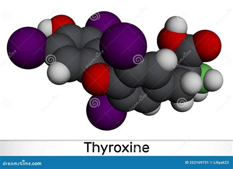 Levothyroxine Molecule Molecular Structures L Thyroxine 3d Model