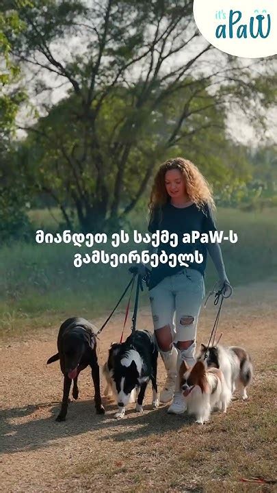 მიჰყევით პროფილზე მითითებულ ბმულს და დარეგისტრირდით დღესვე 🐾 Youtube