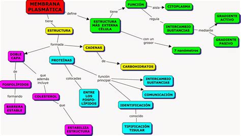Mapa Conceptual Sobre La Célula Citoplasma Biología Celular