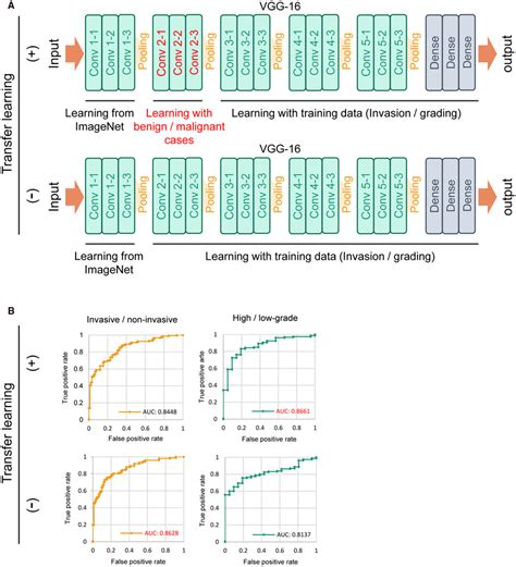 This Is A Schematic Overview Of The Convolutional Neural Networks Download Scientific Diagram