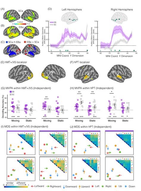 Univariate And Mvpa Results A B Activations Obtained From The Download Scientific Diagram