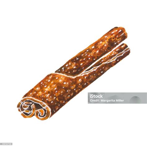 계 피 스틱에 고립 된 흰색 배경 손 건조 계 피 요리 또는 장식의 수채화 그림을 그려 가지 식물 부위에 대한 스톡 벡터 아트