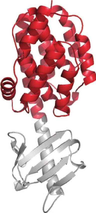 Crystal Structure Of Colicin N 137 Pdb Code 1a87 The Helical Download Scientific Diagram