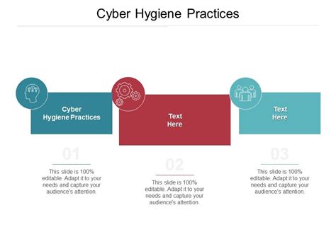 Cyber Hygiene Practices Ppt Powerpoint Presentation Infographics Mockup