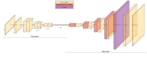 schematic representation of the fully convolutional neural network