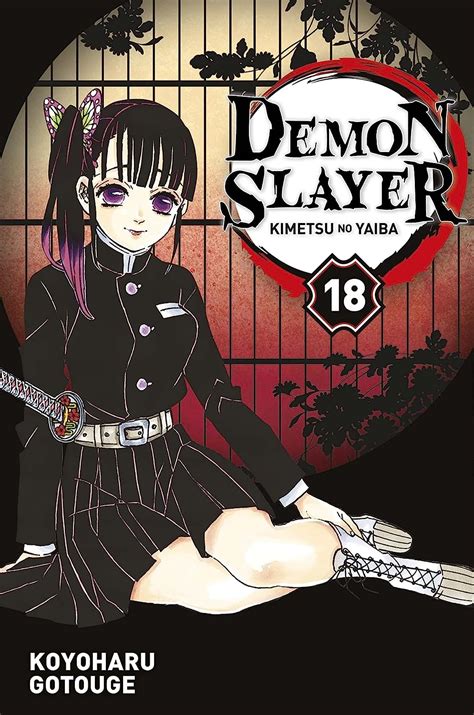 Demon Slayer T18 Demon Slayer T18 Gotouge Koyoharu Amazonca Books
