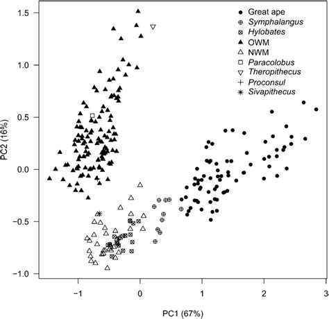 Bivariate Plot Of Principal Components 1 And 2 Sample Derives From Download Scientific Diagram