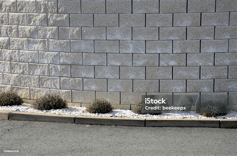 콘크리트 패널 벽 근처 라벤더 시멘트 보드로 만든 울타리 라벤더는 구체로 자른다 흰색 석회암 대리석 자갈로 만든 뿌리 덮개도로 아스팔트 연석 공원에 대한 스톡 사진 및 기타