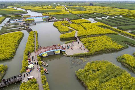 江苏泰州清明踏青郊游赏春光 搜狐大视野 搜狐新闻