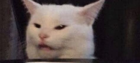 De Cuales Meme Gato Enojado