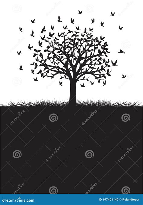Shape Of Naked Tree And Birds Vector Outline Illustration Plant In Garden Stock Vector