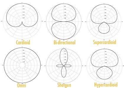 Prod 1 Quiz 2 Flashcards Quizlet