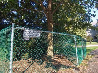 Tree Protection Zone The Scott Arboretum