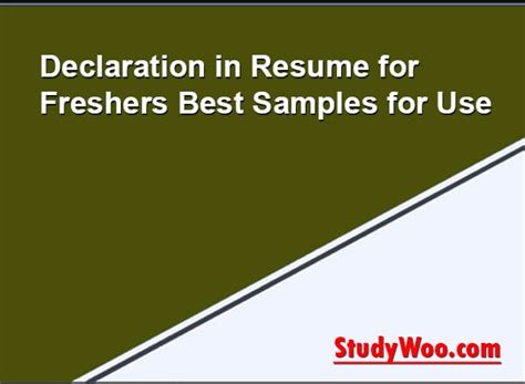 Declaration In Resume For Freshers Best Samples To Use 2023