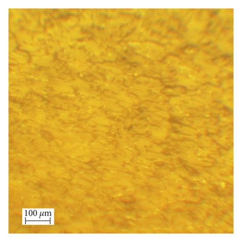 Microstructure Of Surfaces Of The Studied Composite Materials With An