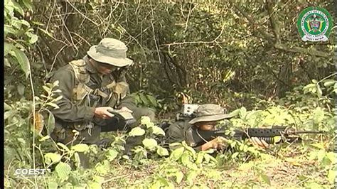 Comandos Jungla Policía Nacional De Colombia Youtube
