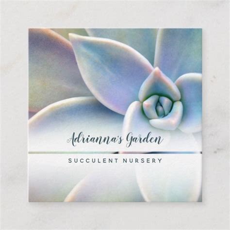 Modern Minimal Succulent Plant Nursery Photo Square Business Card