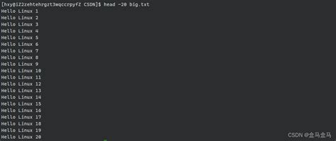 Linux系统文件读取指令 linux读取文件 CSDN博客