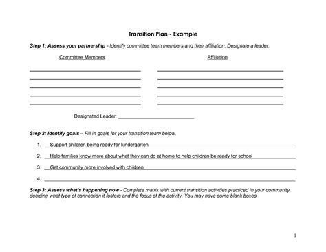 Transition Plan Templates Career Individual ᐅ TemplateLab
