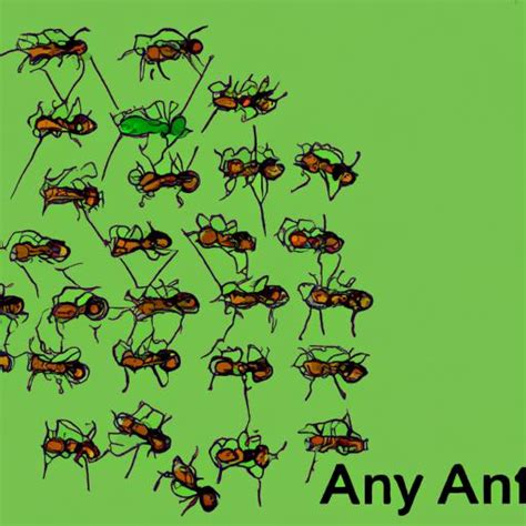 Ant Hierarchy Unraveling The Social Order Within Ant Colonies