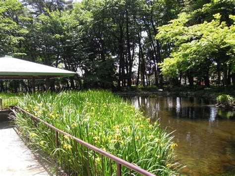 杉並区立塚山公園すぎなみ学倶楽部