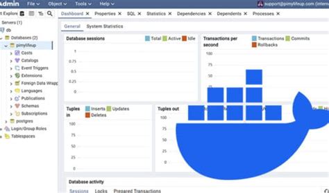 Docker Pi My Life Up
