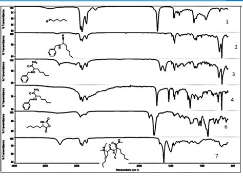 Figure 2 From Synthesis Of Polypeptides And Polyα Hydroxy Esters From