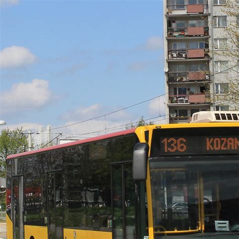 Bus Numbers Training Object Detection Dataset V1 2025 02 01 1 43pm By Busnumbers