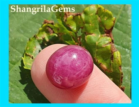 13 2ct 13mm Oval Ruby Cabochon Mozambique Unheated 13 1 By 11 4 By 8 7mm Etsy