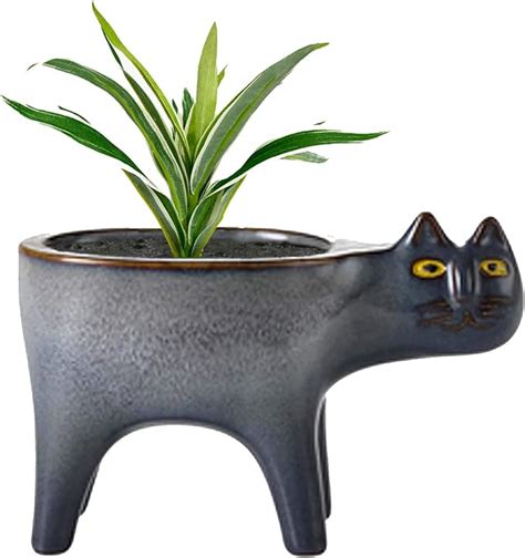 Mhihtts Cat Flower Potcat Planterssucculent Planter Cats