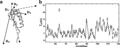 Anisotropic Rotational Diffusion Of The L7 C Terminal Domain A Download Scientific Diagram