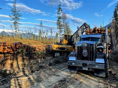 Jf Logging Jf Logging Added A New Photo